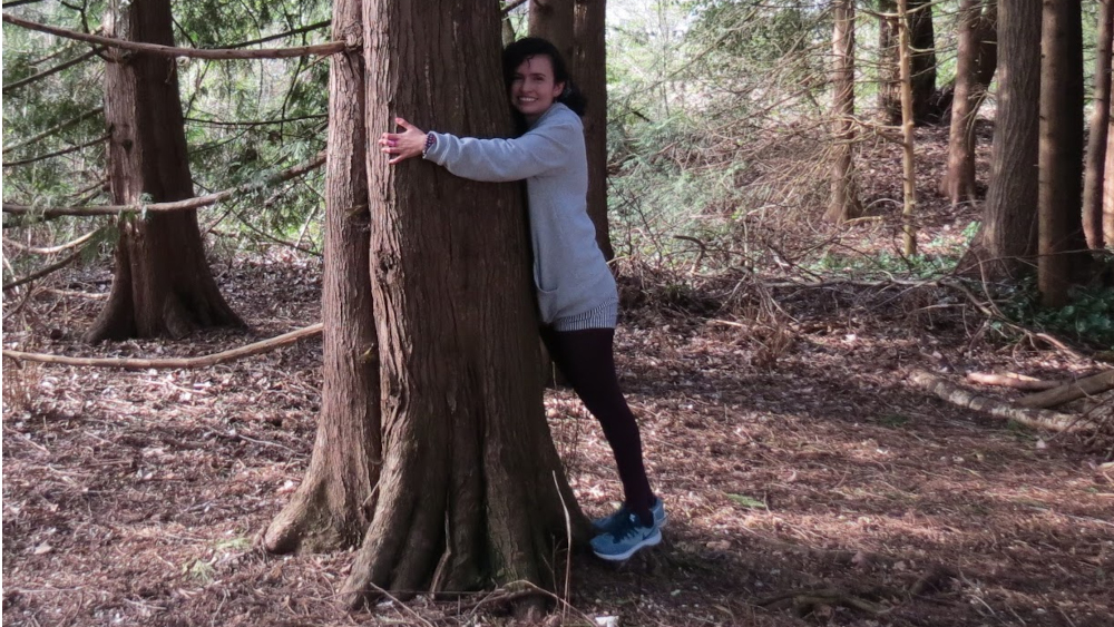 The power of trees and green areas in our well-being – MujerForestal